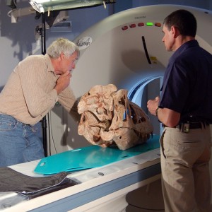 Palaeocast | Palaeontology podcasts