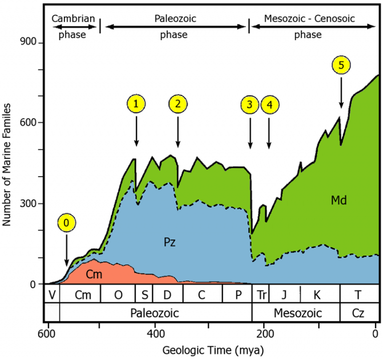 Palaeocast | Palaeontology podcasts