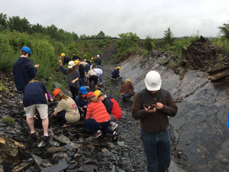 Palaeocast | Palaeontology podcasts