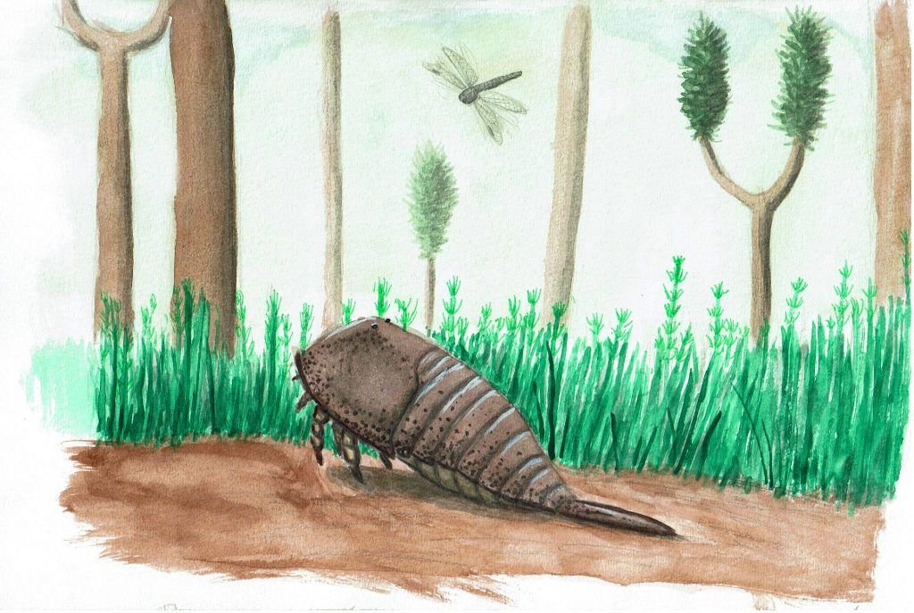 Palaeocast | Palaeontology podcasts