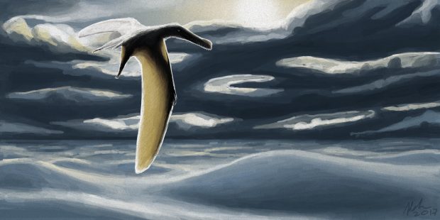 Palaeocast | Palaeontology podcasts