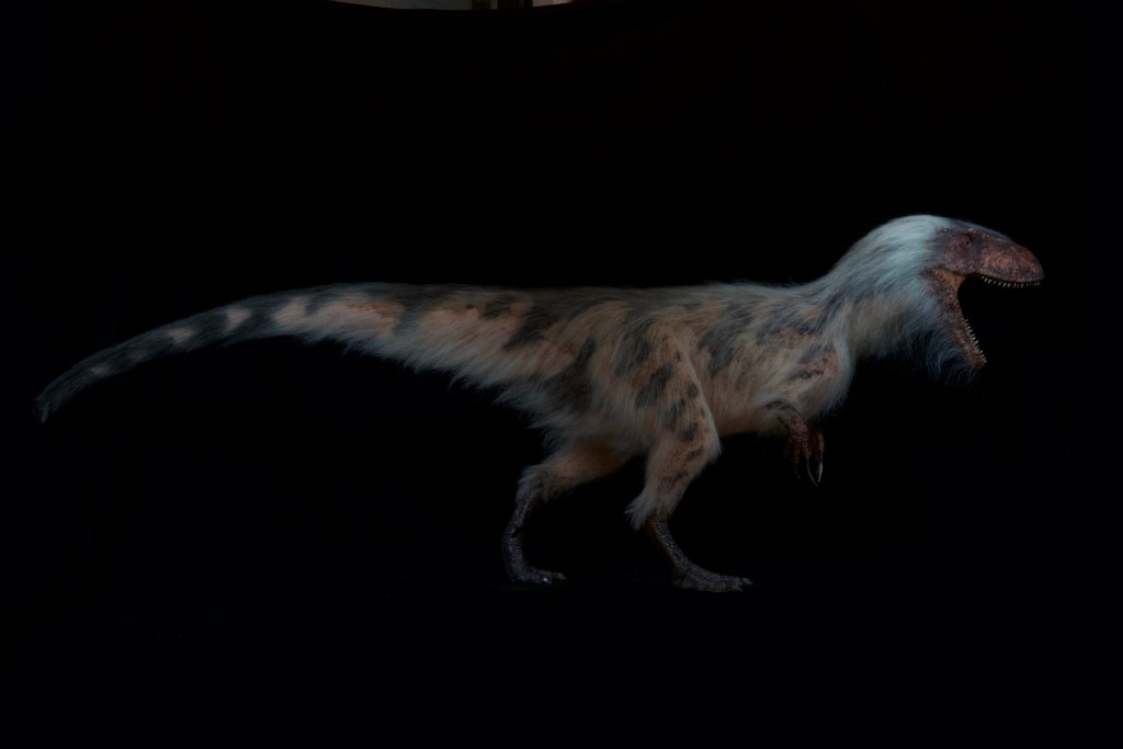 Palaeocast | Palaeontology podcasts