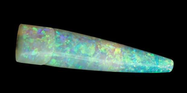 Palaeocast | Palaeontology podcasts