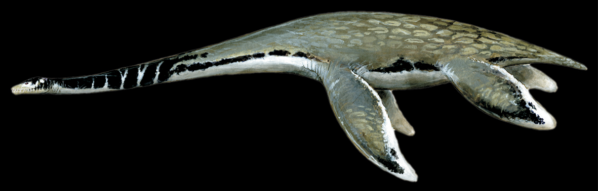 Palaeocast | Palaeontology podcasts