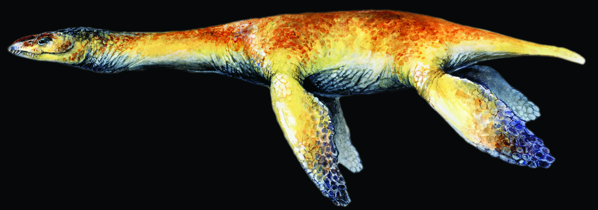 Palaeocast | Palaeontology podcasts