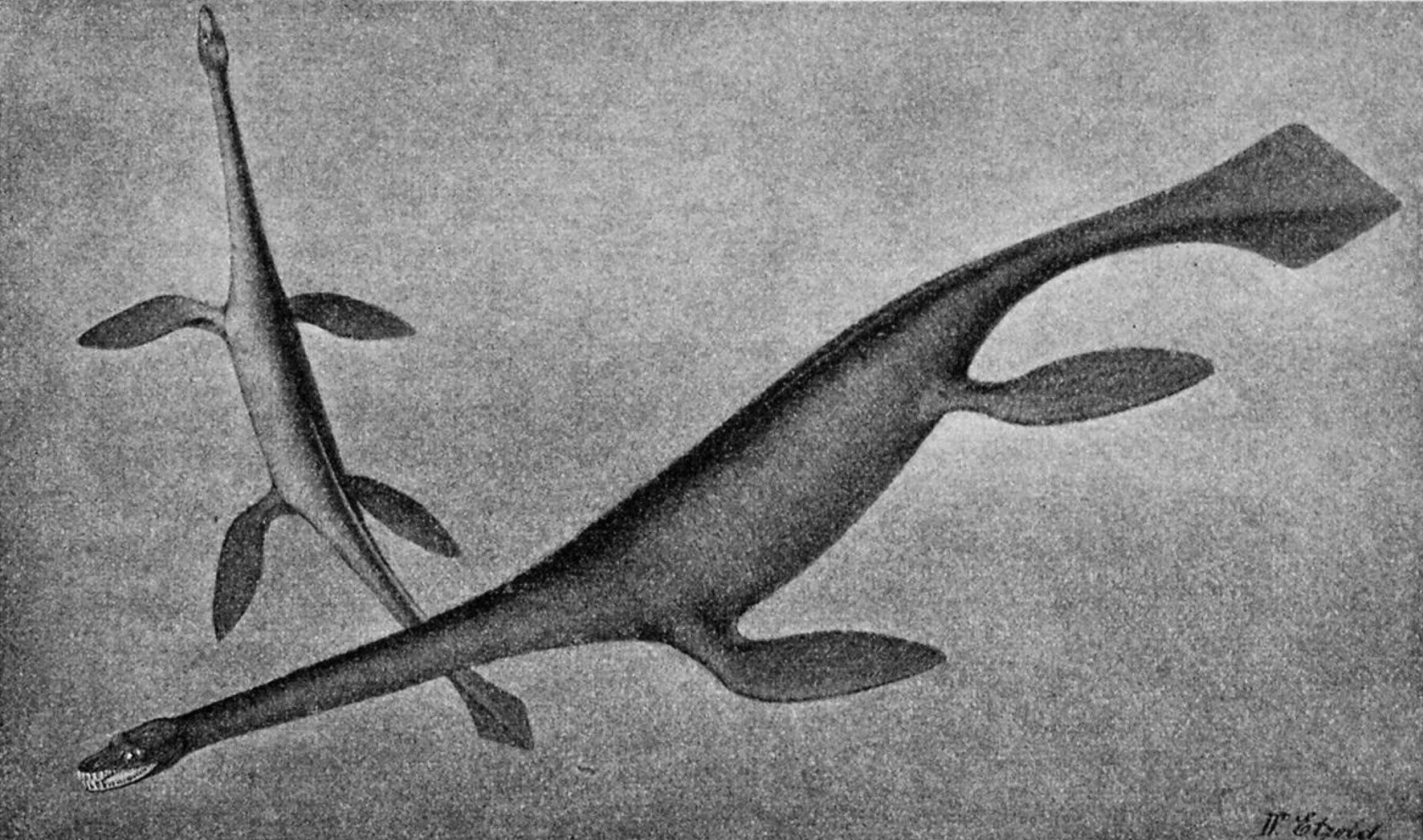 Palaeocast | Palaeontology podcasts