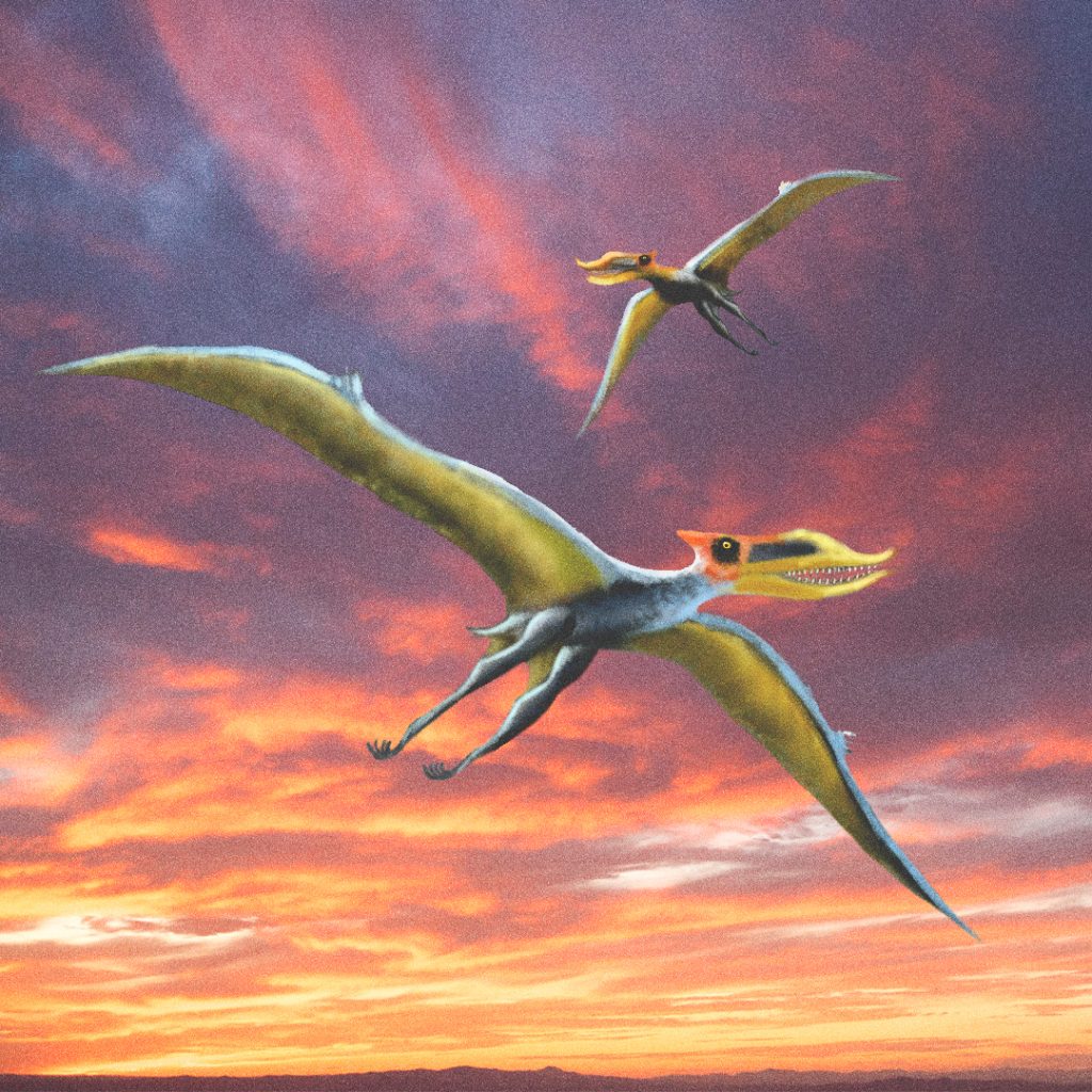 Palaeocast | Palaeontology podcasts