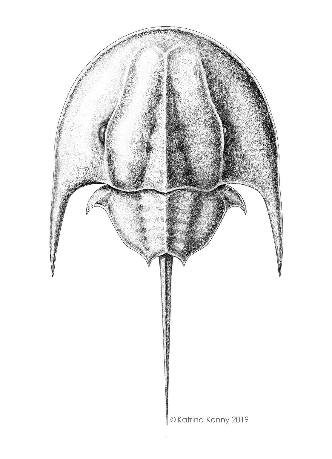 Palaeocast | Palaeontology podcasts