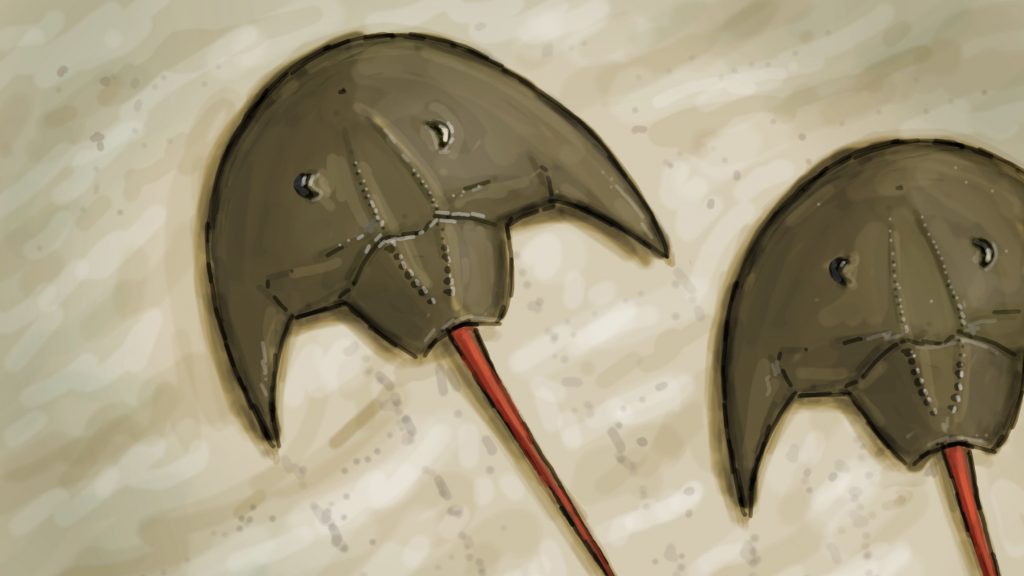 Palaeocast | Palaeontology podcasts