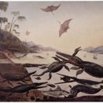 Palaeocast | Palaeontology podcasts