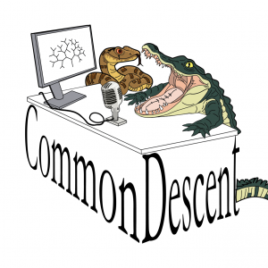 Palaeocast | Palaeontology podcasts