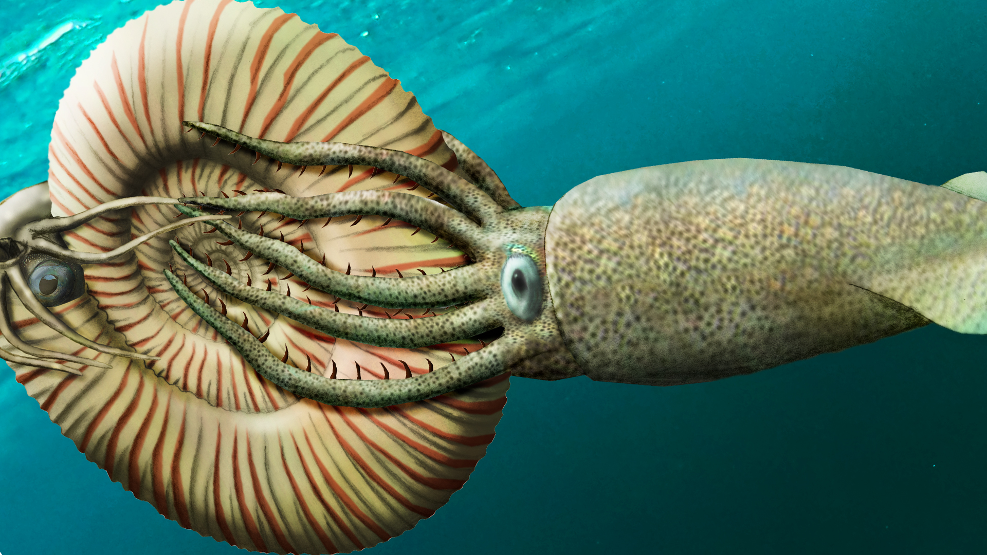 Palaeocast | Palaeontology podcasts