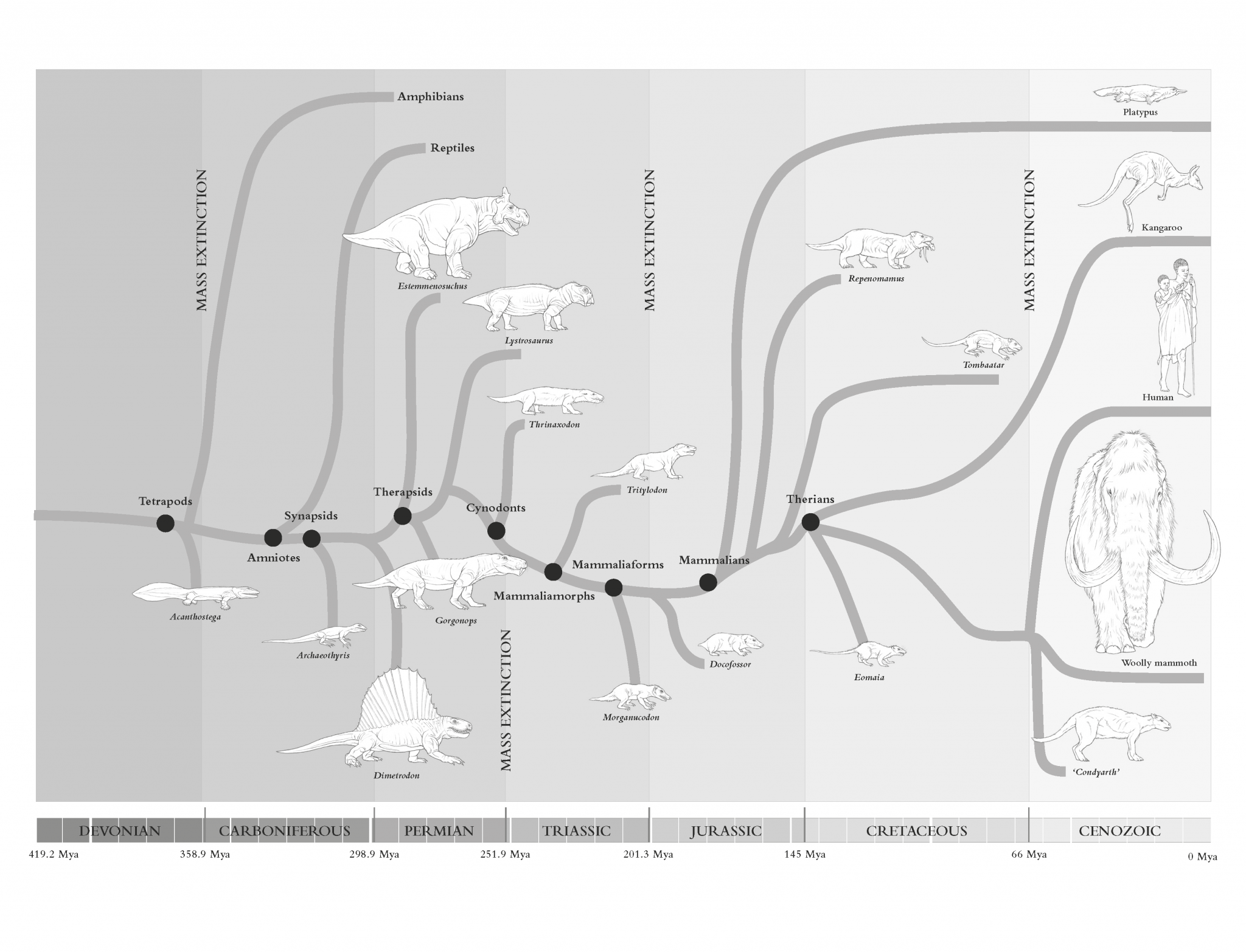 Palaeocast | Palaeontology podcasts